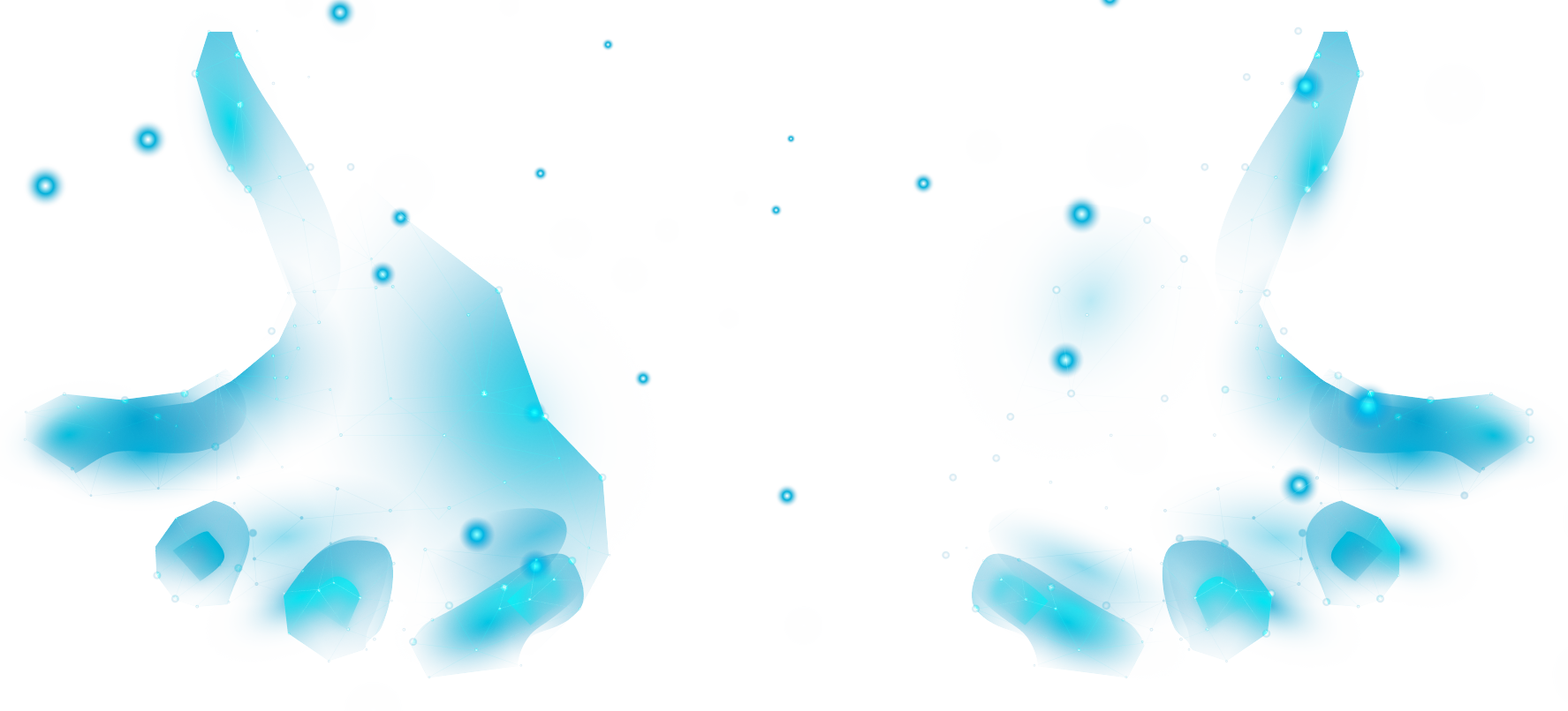 Tryst IITD Campus Ambassador Program